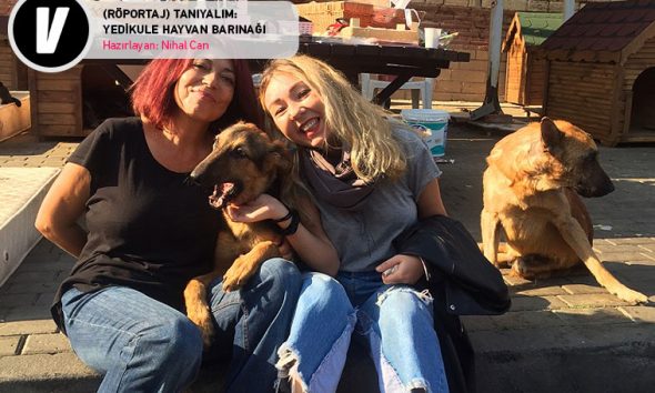 VUUB.net - Bilim, Teknoloji, Sosyal Medya ve Eğlence